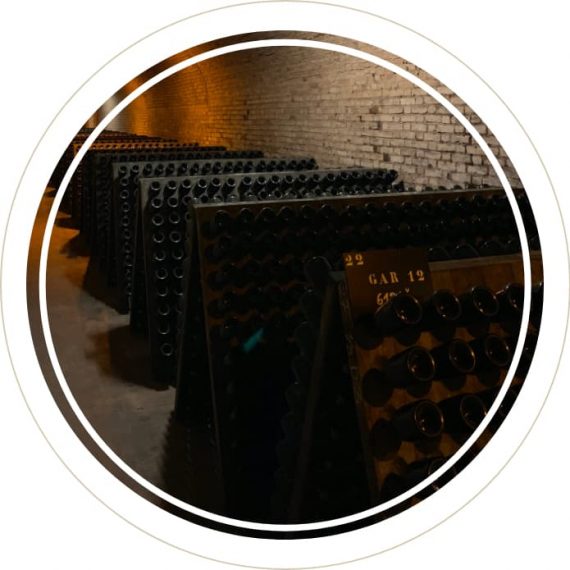 About - Select Wines Merchants